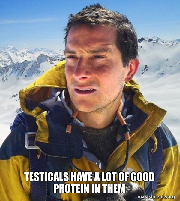 testicals have a lot of good protein in them - Bear Grylls Meme Generator
