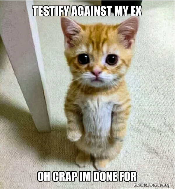 testify against my ex oh crap im done for - Cute Cat Standing Meme ...