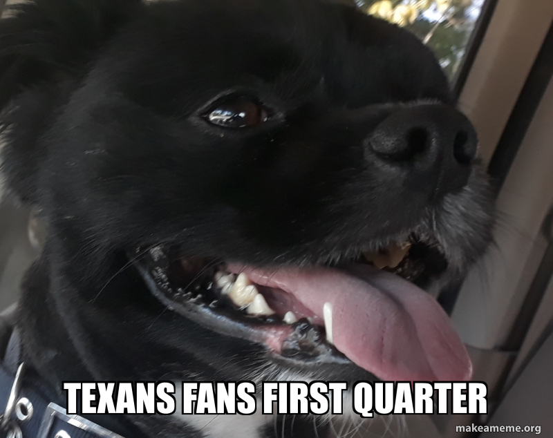 Texans fans first quarter Meme Generator