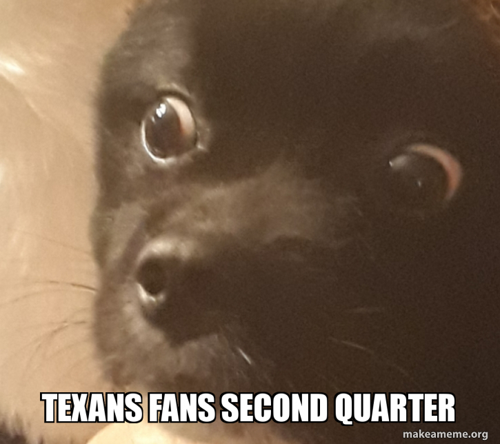 Texans fans second quarter Meme Generator