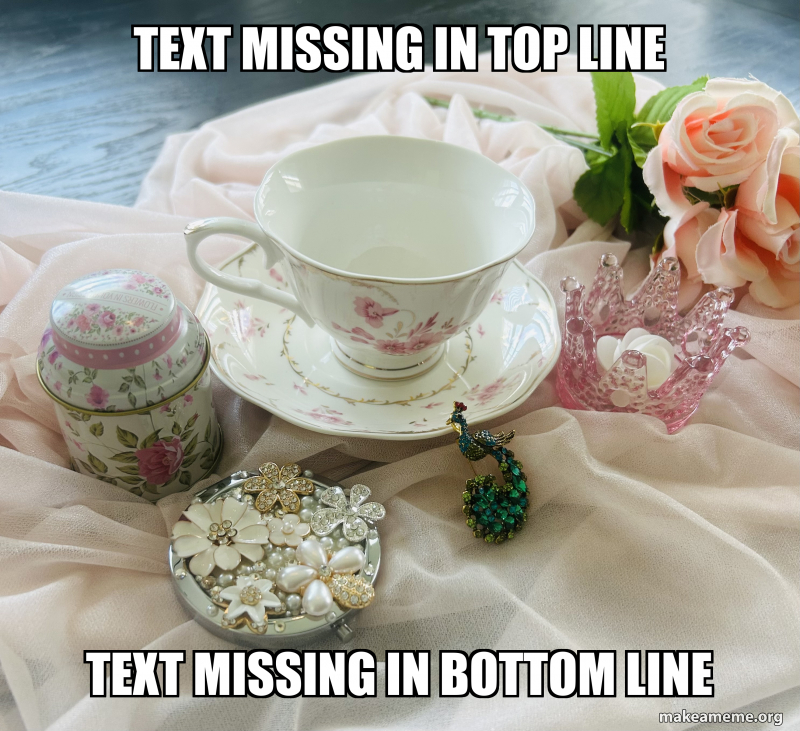 Text missing in top line Text missing in bottom line Meme Generator