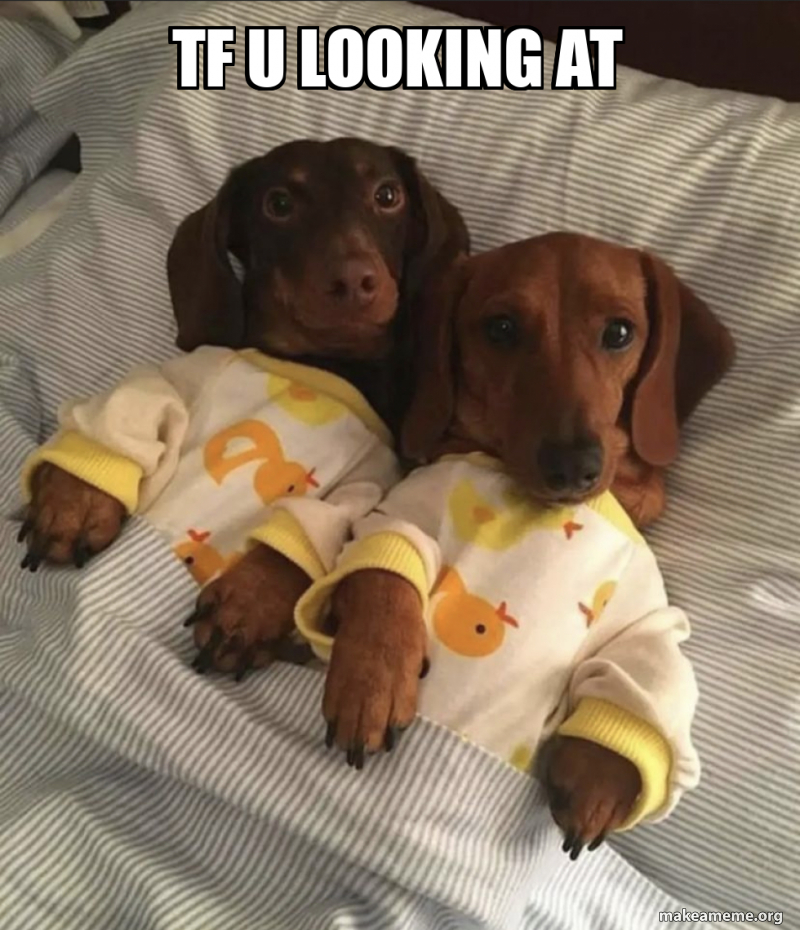 Tf u looking at Meme Generator