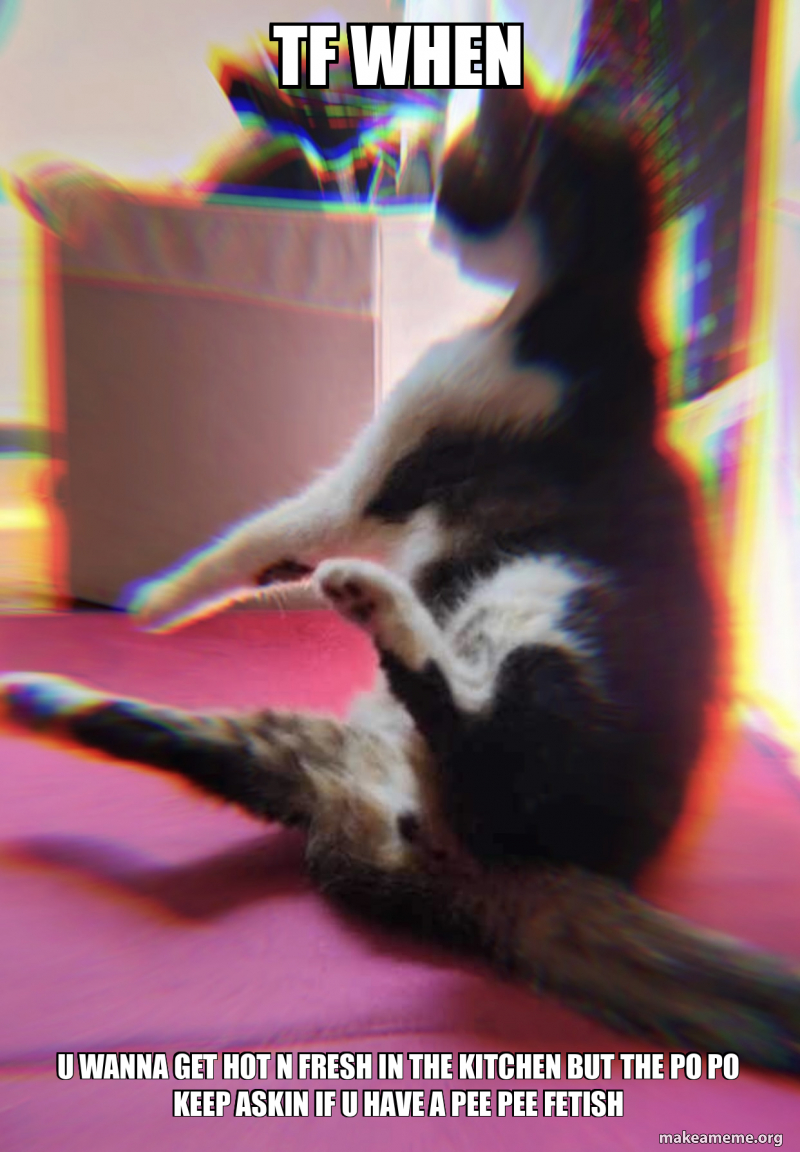 tf when U wanna get hot n fresh in the kitchen but the po po keep askin ...