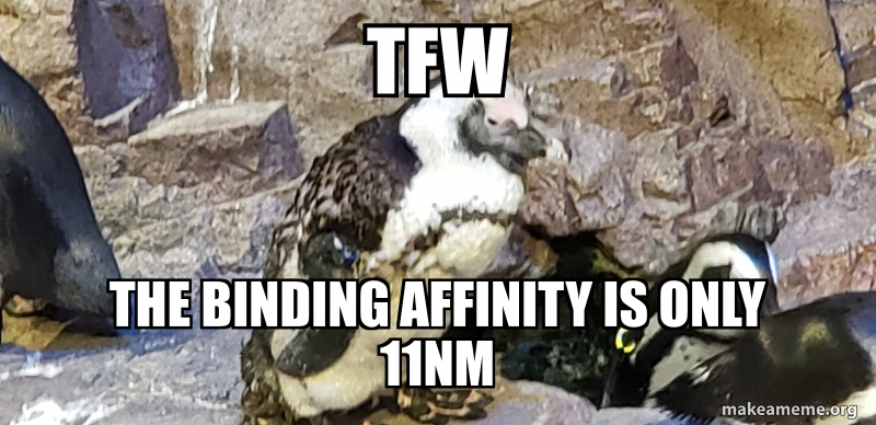Tfw The binding affinity is only 11nm Meme Generator
