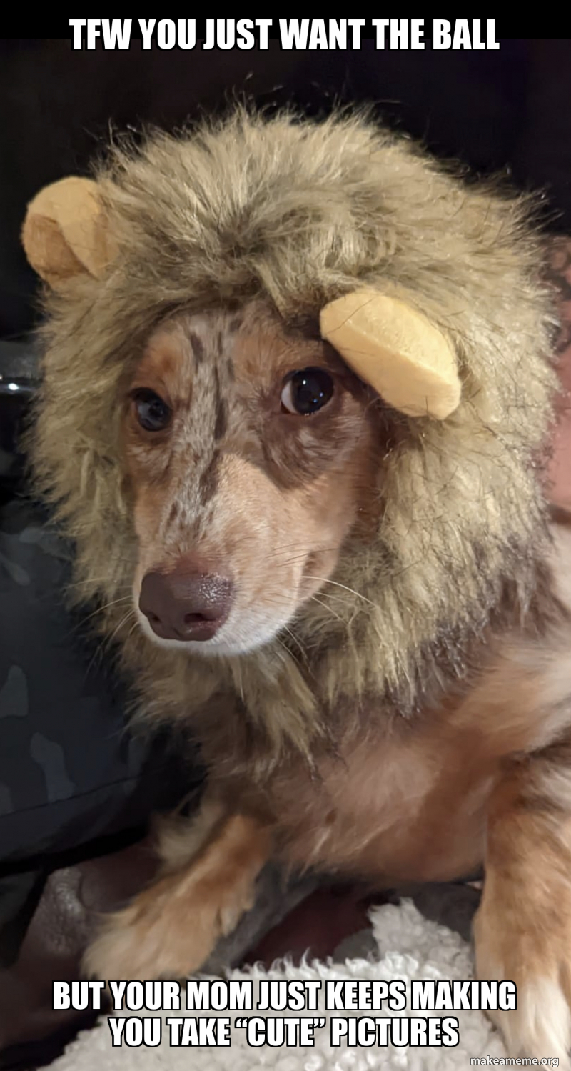 TFW You just want tHe ball But your mom just keeps making you take ...