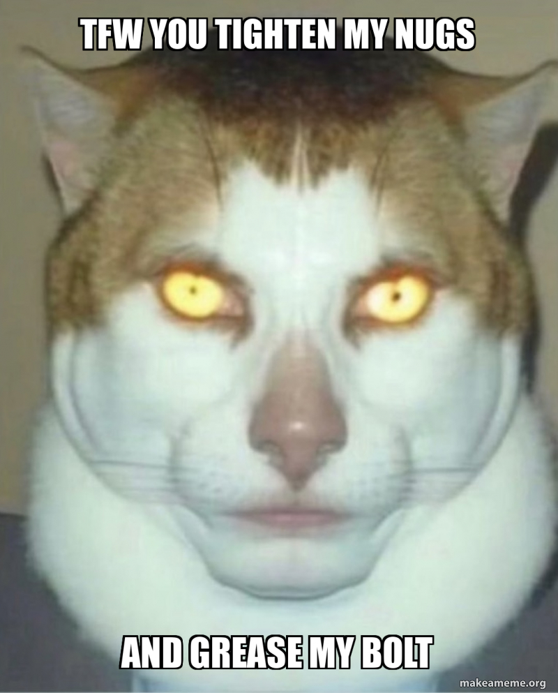 Tfw you tighten my nugs And grease my bolt Meme Generator