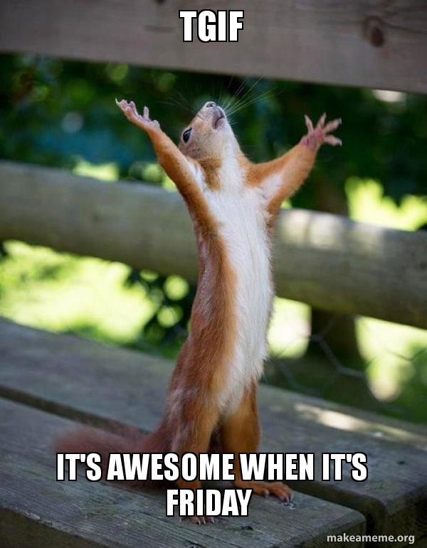 TGIF it's awesome when it's Friday - Happy Squirrel Meme Generator