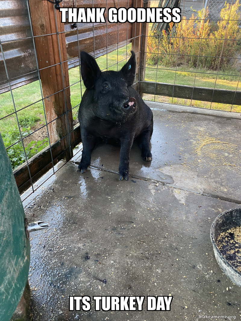 Thank goodness Its turkey day Meme Generator