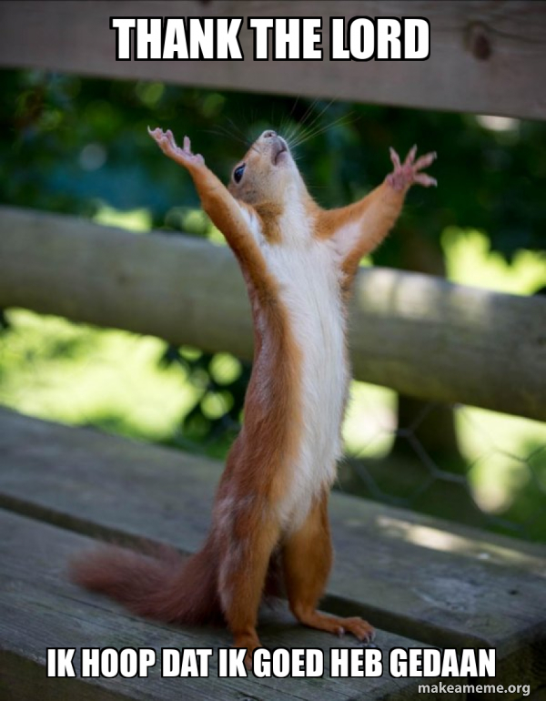 thank the lord ik hoop dat ik goed heb gedaan - Happy Squirrel Meme ...
