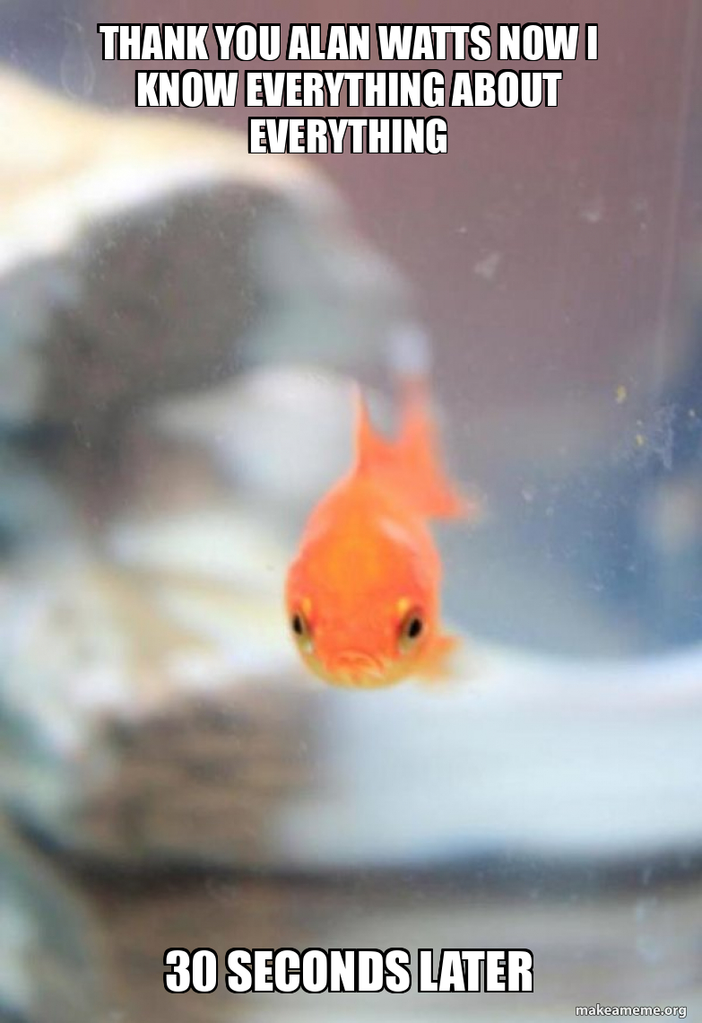 thank you alan watts now I know everything about everything 30 seconds ...