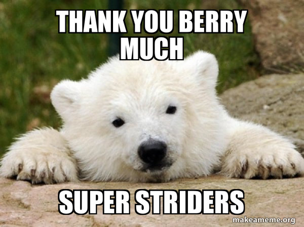 Thank You Berry Much Super Striders - Popular Opinion Bear Meme Generator