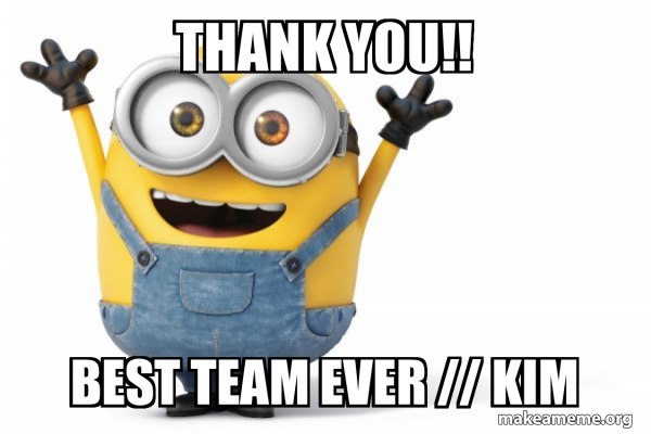 Thank you!! Best team ever // KIM - Happy Minion Meme Generator