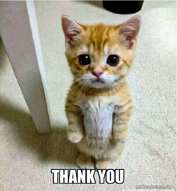 Thank you - Cute Cat Standing Meme Generator