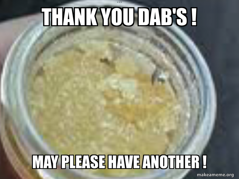 THANK YOU DAB'S ! MAY PLEASE HAVE ANOTHER ! Meme Generator