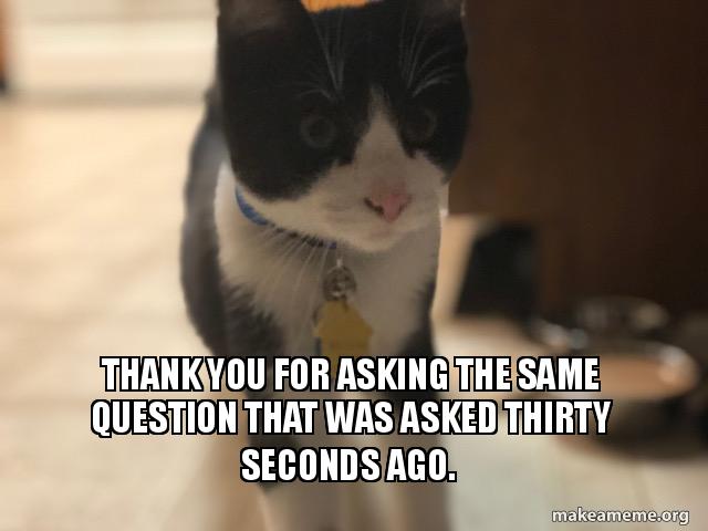 THANK YOU FOR ASKING THE SAME QUESTION THAT WAS ASKED THIRTY SECONDS ...