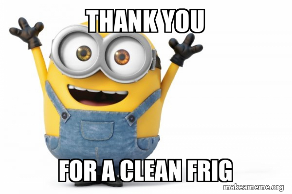 thank you for a clean frig - Happy Minion Meme Generator