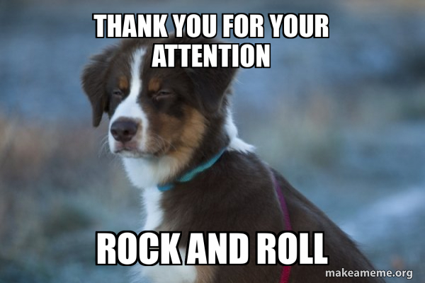 Dog You Rock Meme