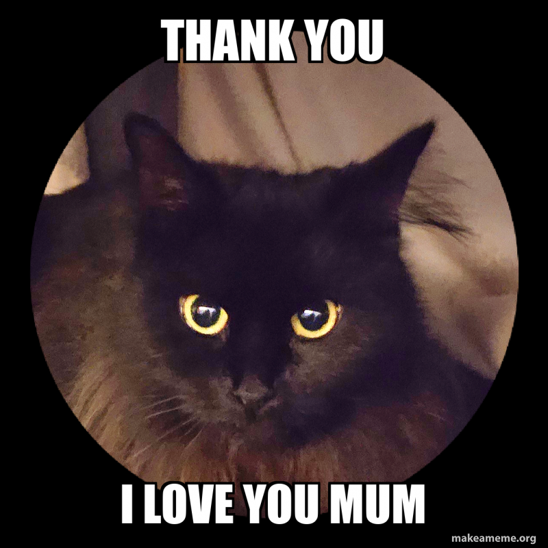 Thank you I love you mum Meme Generator