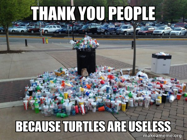 Thank You People Because Turtles Are Useless - Canadian Football Fans ...