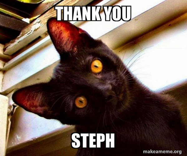 Thank You Steph - Overly Attached Cat Meme Generator
