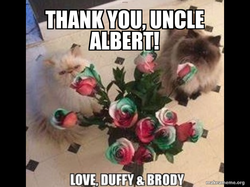 Thank you, uncle albert! Meme Generator