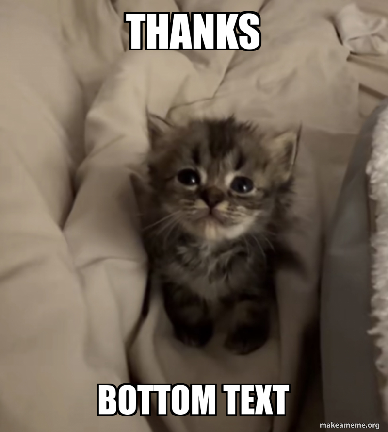 Thanks Bottom text Meme Generator
