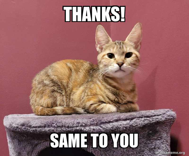 Thanks! Same to you Meme Generator