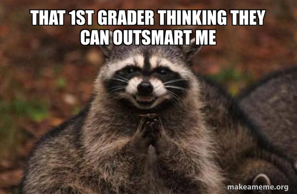 that 1st grader thinking they can outsmart me - Evil Plotting Raccoon ...