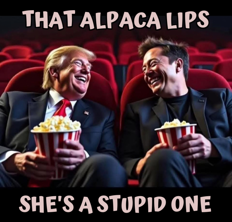 That alpaca lips She's a stupid one Meme Generator