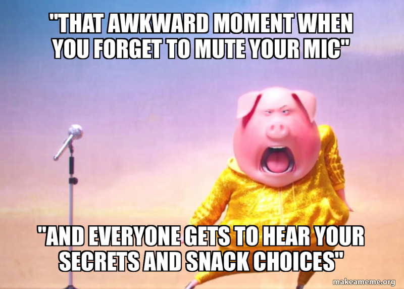 "That awkward moment when you forget to mute your mic" "And everyone ...