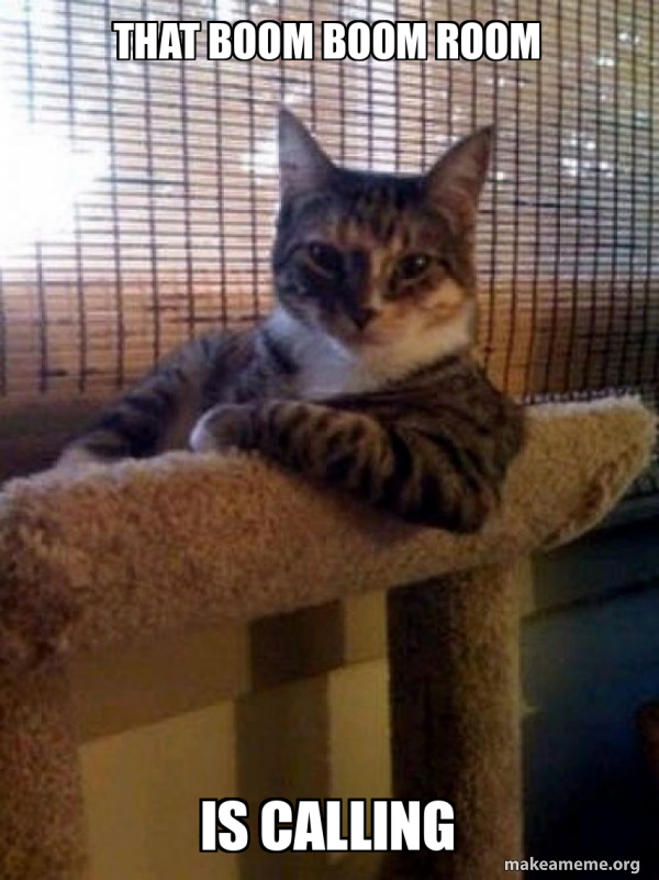 That Boom Boom Room is calling - The Most Interesting Cat in the World ...