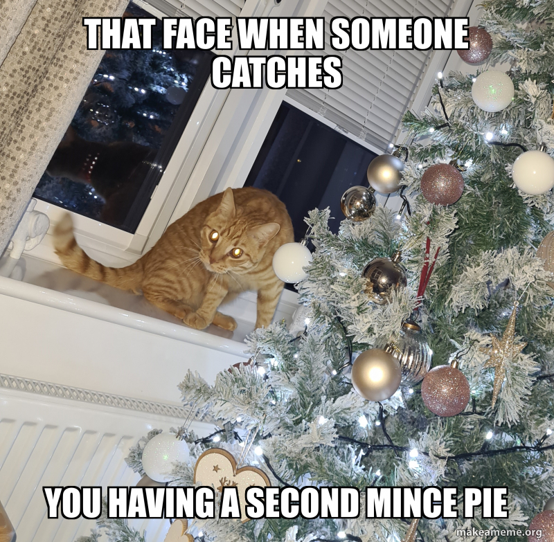 That face when someone catches you having a second mince pie Meme Generator