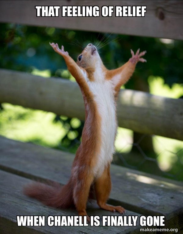 That feeling of relief when chanell is finally gone - Happy Squirrel ...
