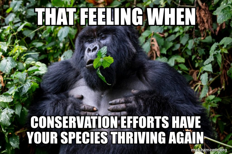 That feeling when conservation efforts have your species thriving again ...