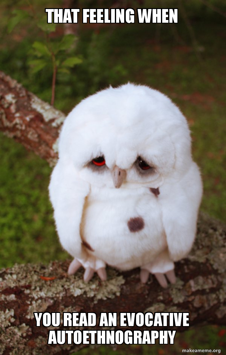 That feeling when You read an evocative autoethnography - Sad Owl Meme ...