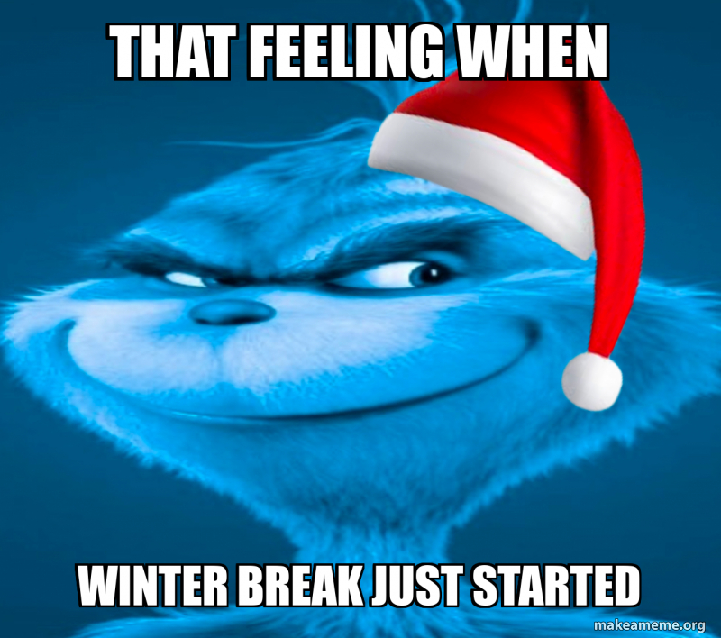 THAT FEELING WHEN WINTER BREAK JUST STARTED Meme Generator