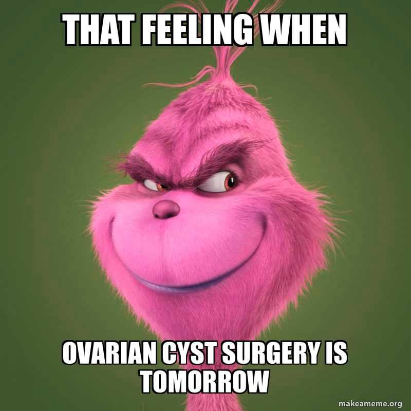 That feeling when ovarian cyst surgery is tomorrow Meme Generator