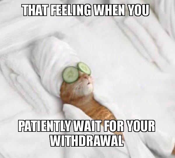 That feeling when you patiently wait for your withdrawal - Pampered Cat ...