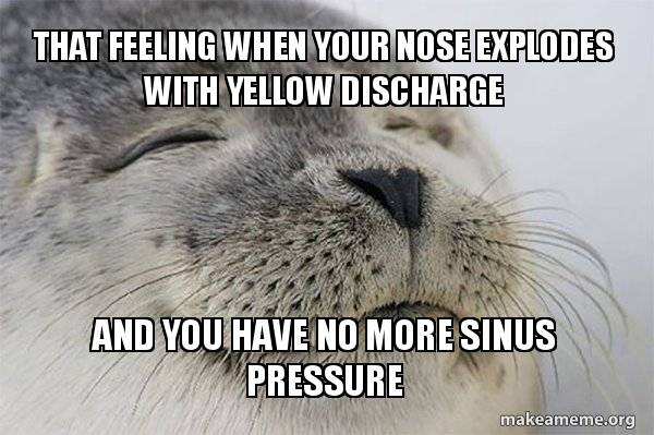 Sinus Pressure Memes Sinus Infections Suck! | My Journeys Through Life