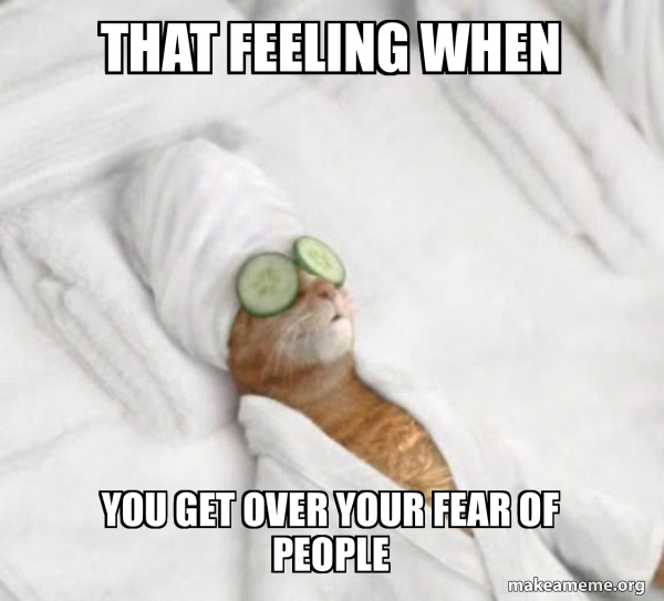 THAT FEELING WHEN YOU GET OVER YOUR FEAR OF PEOPLE - Pampered Cat Meme ...