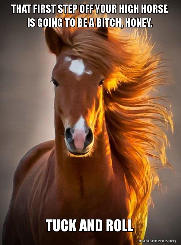That first step off your high horse is going to be a bitch, honey. Tuck ...