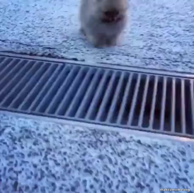 - That jump Meme Generator