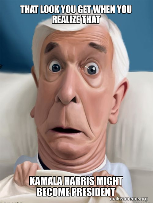 that look you get when you realize that kamala harris might become ...