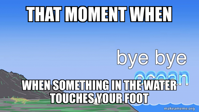 That moment when When something in the water touches your foot Meme ...