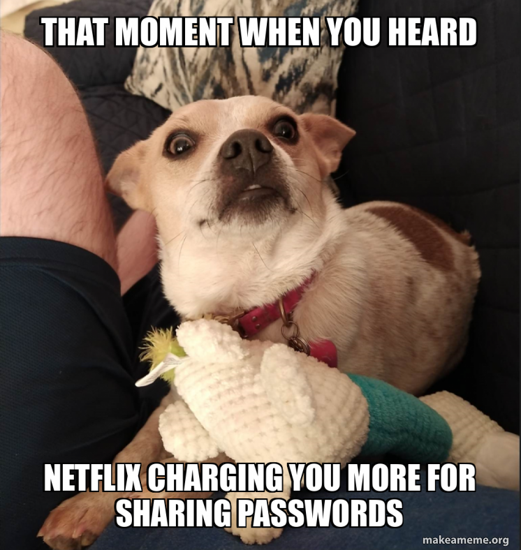 That moment when you heard Netflix charging you more for sharing ...