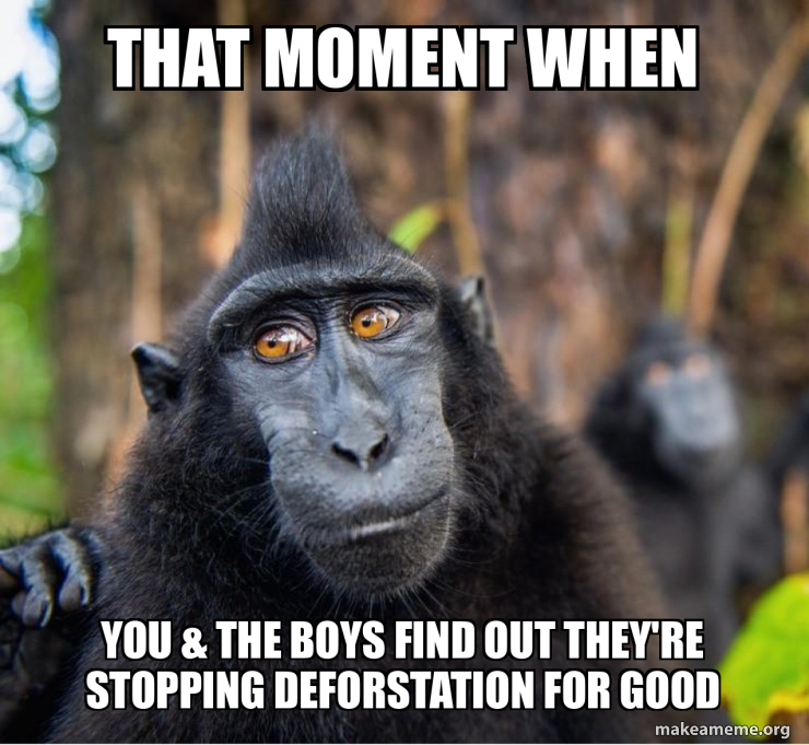 That moment when You & THe boys find out They're stopping deforstation ...