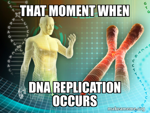 that moment when dna replication occurs Meme Generator