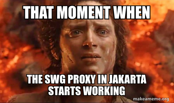 That moment when The SWG proxy in Jakarta starts working - Frodo it's ...