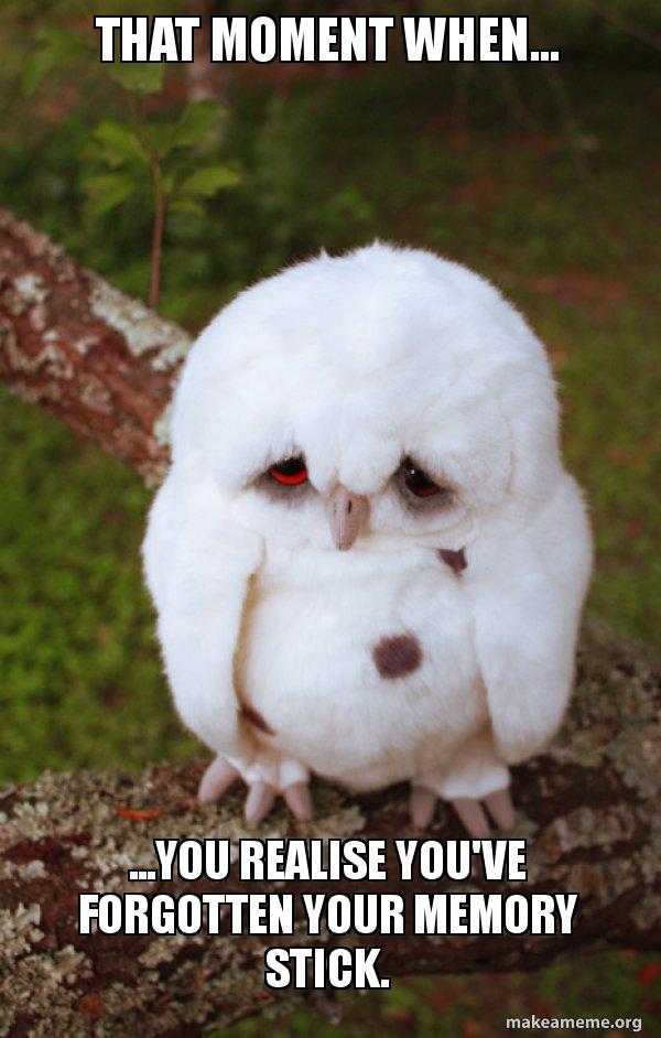 Memory Stick Memes