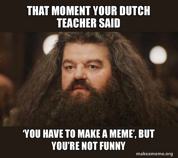 Funny Dutch Memes Hey Guys. Bean Here To Explain The Reel., Here The